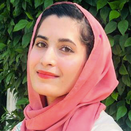 Pakistan: Beyond the 'Crisis State' - Paradigm Shift