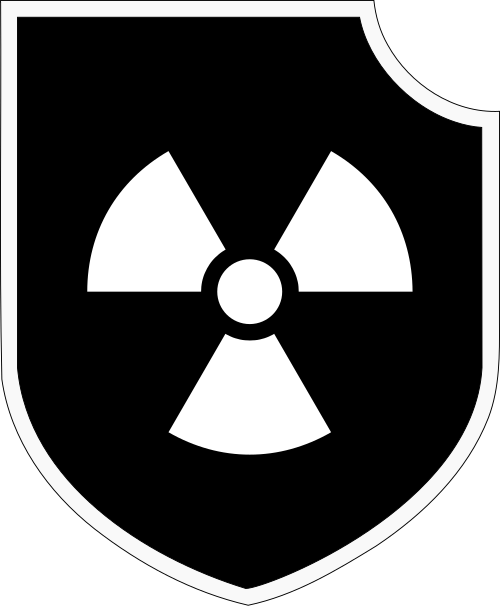 Memes to Mass Violence: Atomwaffen and the Terrorist Generation ...